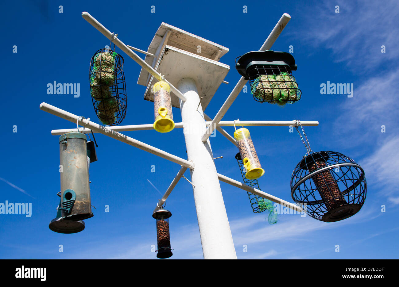 Bird table with multiple bird feeders against a blue sky in the ...