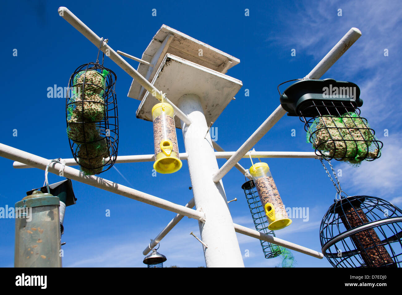 Bird table with multiple bird feeders against a blue sky in the ...
