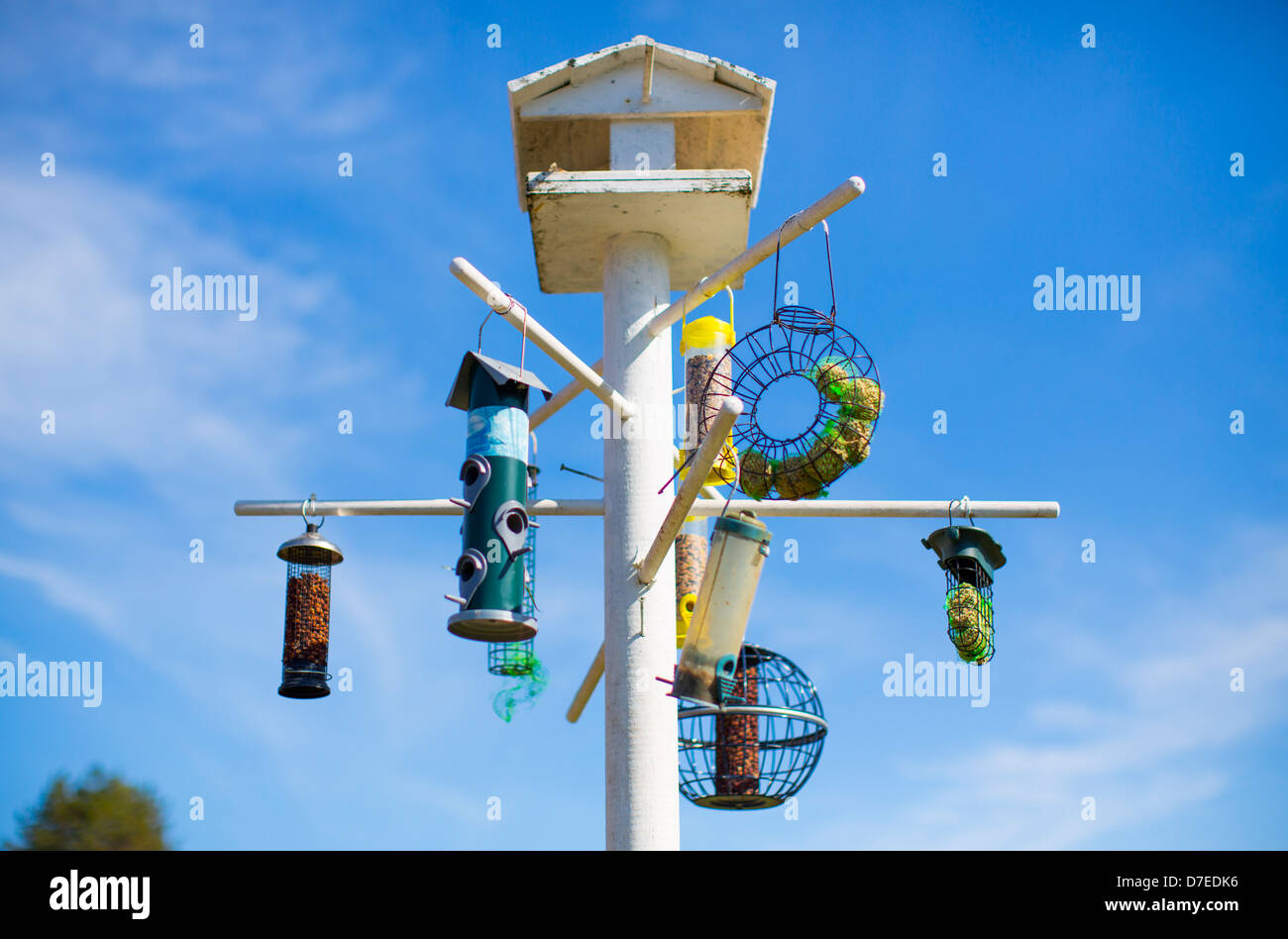 Bird table with multiple bird feeders against a blue sky in the ...