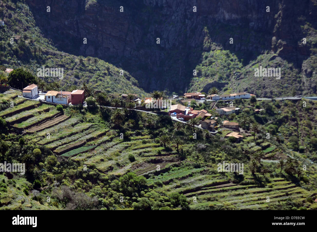 Masca tenerife hi-res stock photography and images - Alamy
