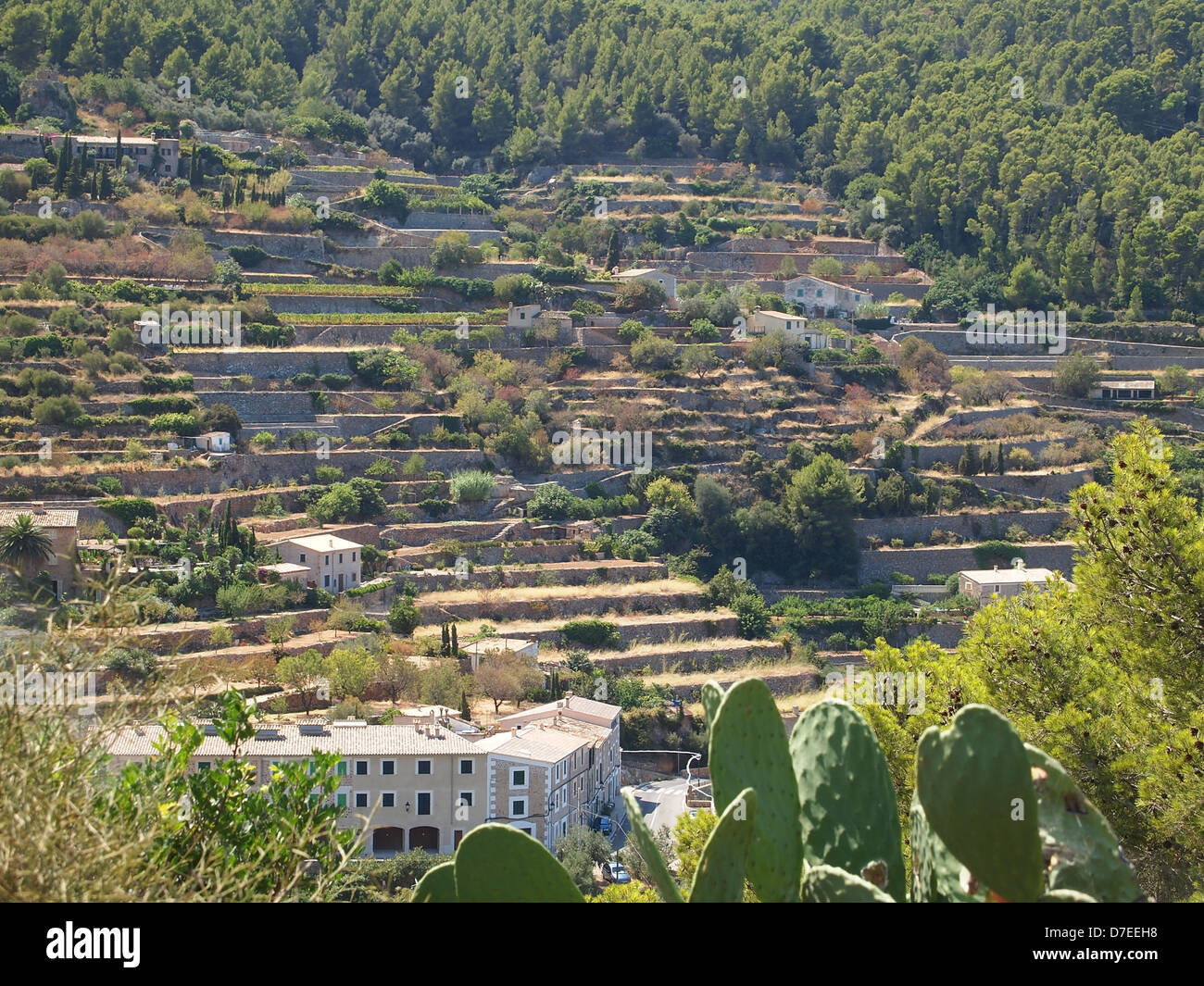 Terraces in a village in Majorca Stock Photo - Alamy Terraces in a village in Majorca Stock Photo - Alamy