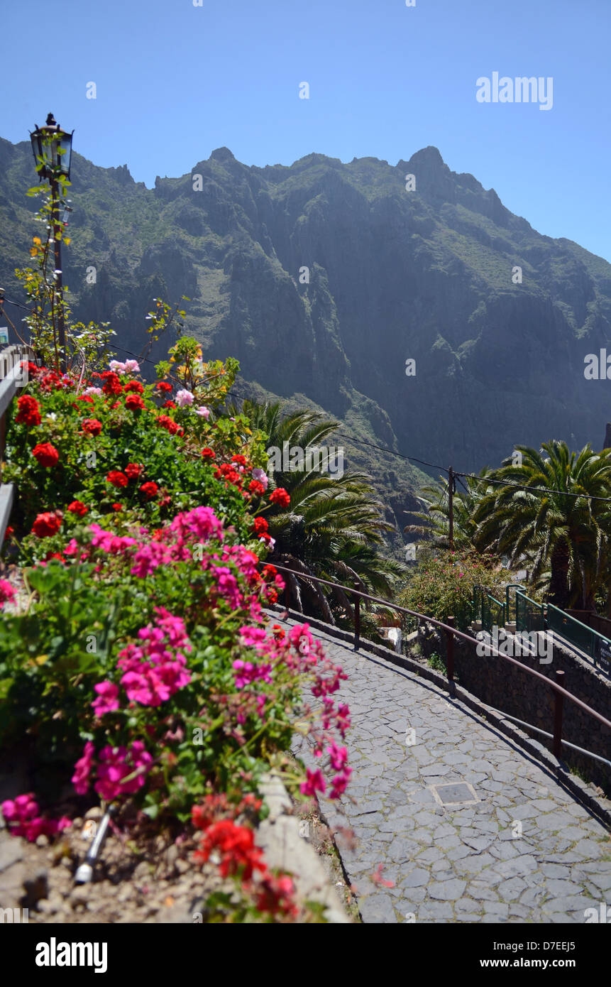 Masca Valley (Valle de Masca), Tenerife, Canary Islands Stock Photo - Alamy