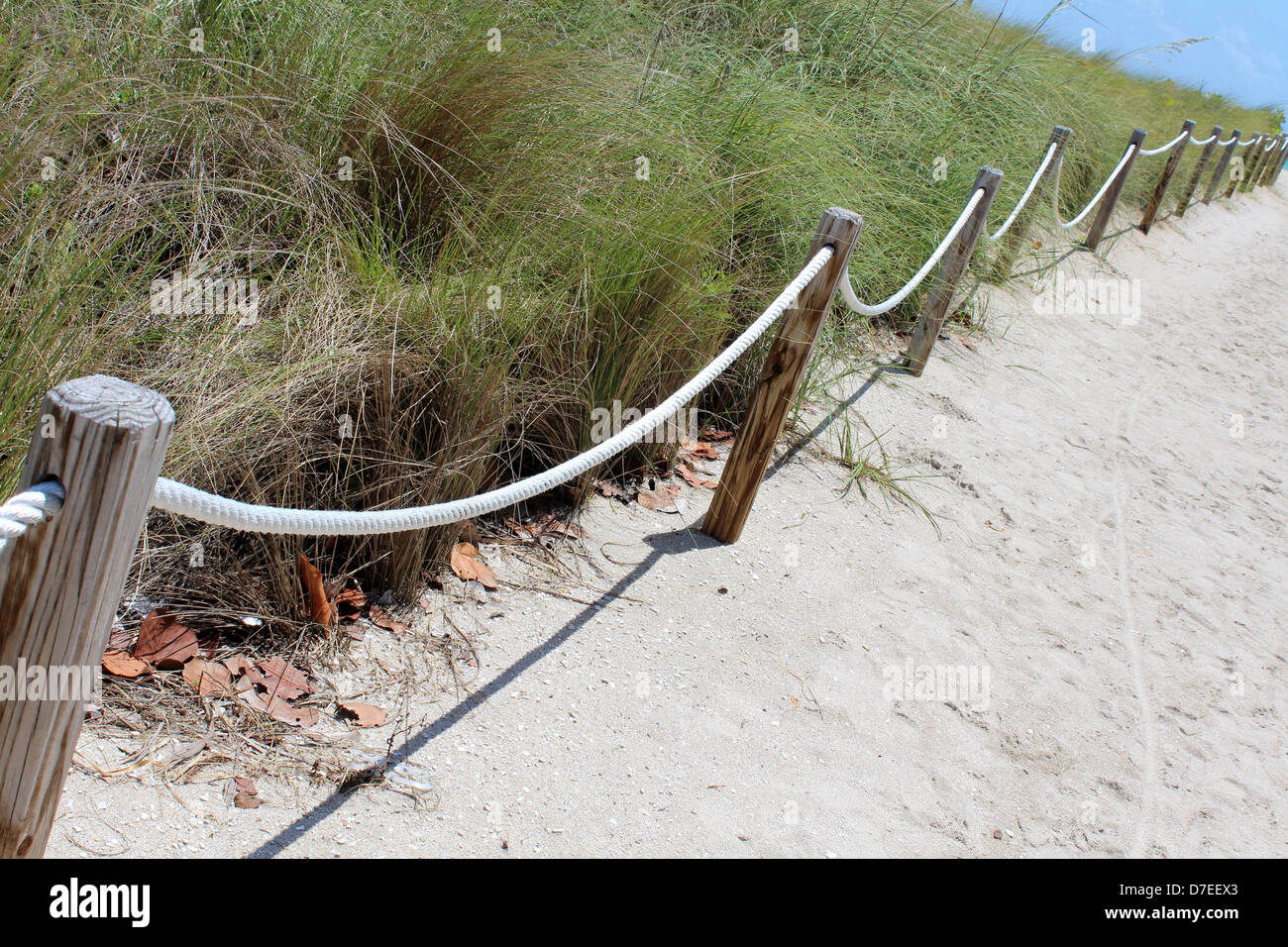 Sandy beach with rope,weathered wood posts and tall sea grass leading ...