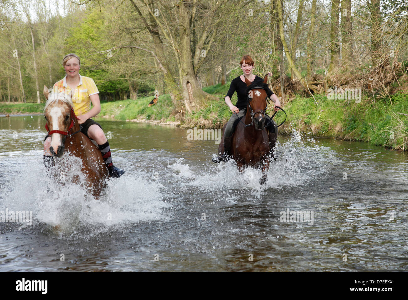 4 riders with horses Stock Photo - Alamy