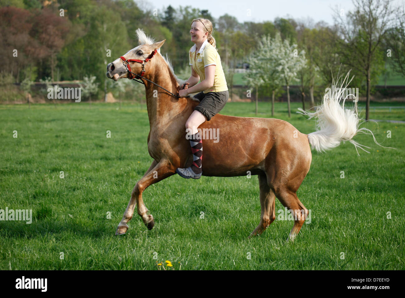 girl rides pony Stock Photo - Alamy
