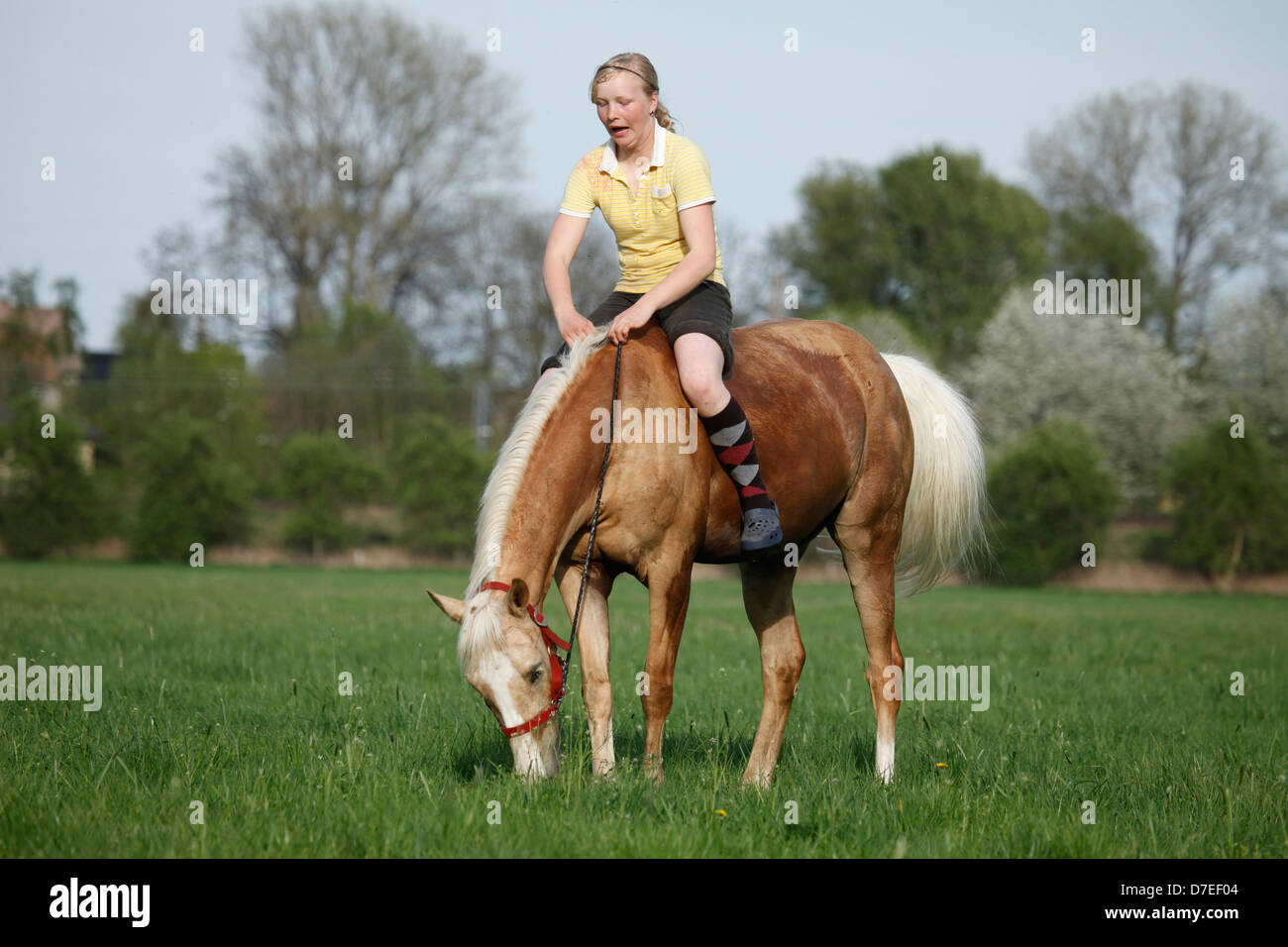 girl rides pony Stock Photo - Alamy