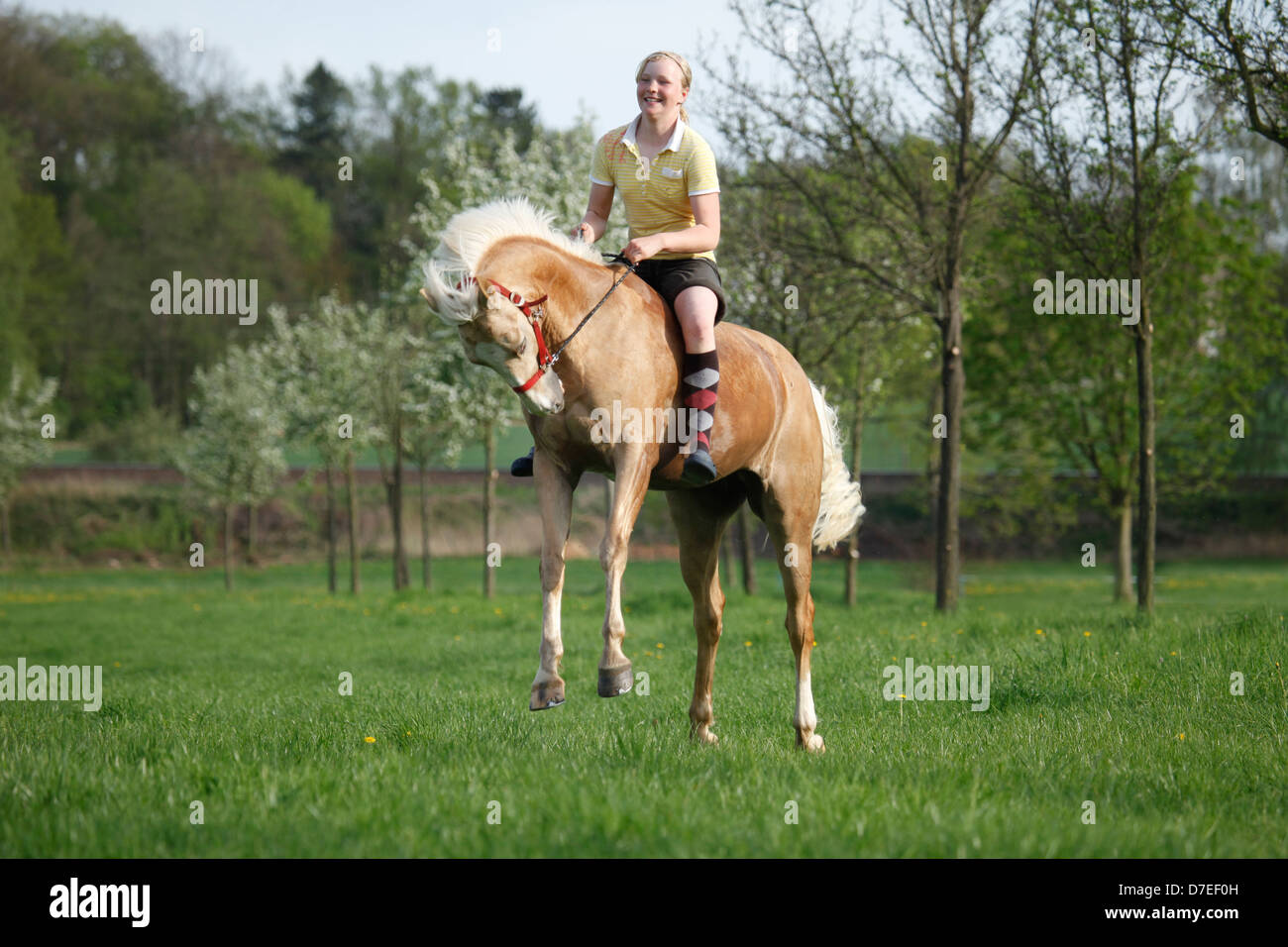 girl rides pony Stock Photo - Alamy