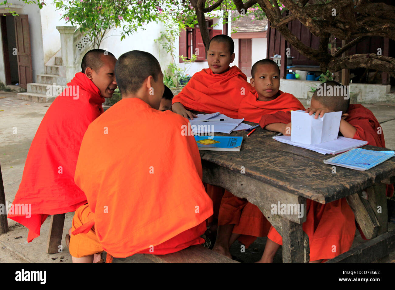 Young Buddhist monks learning English at temple garden, Luang Probang ...
