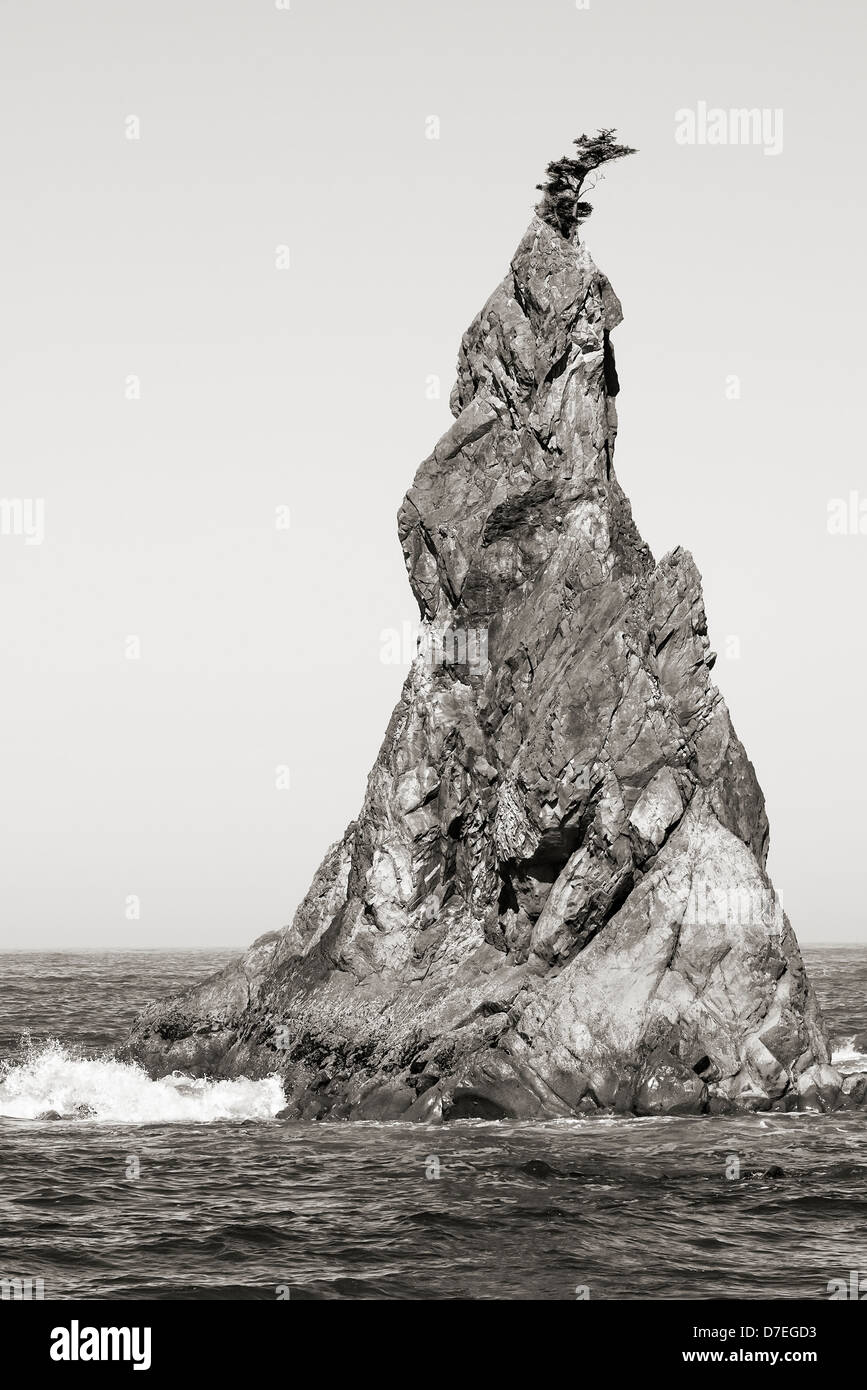 Hearty trees on rocks hi-res stock photography and images - Alamy