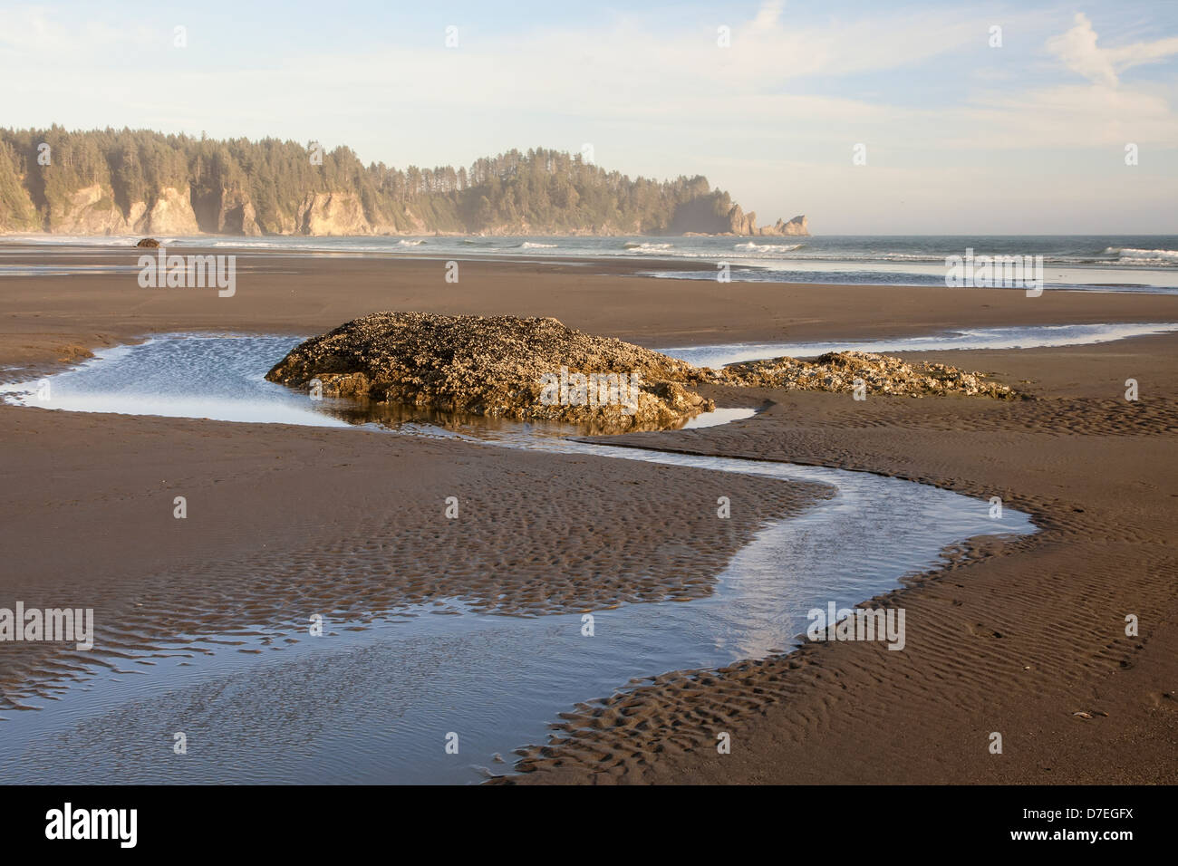 Stream meandering by rocks, 2nd Beach, Olympic National Park, WA Stock ...