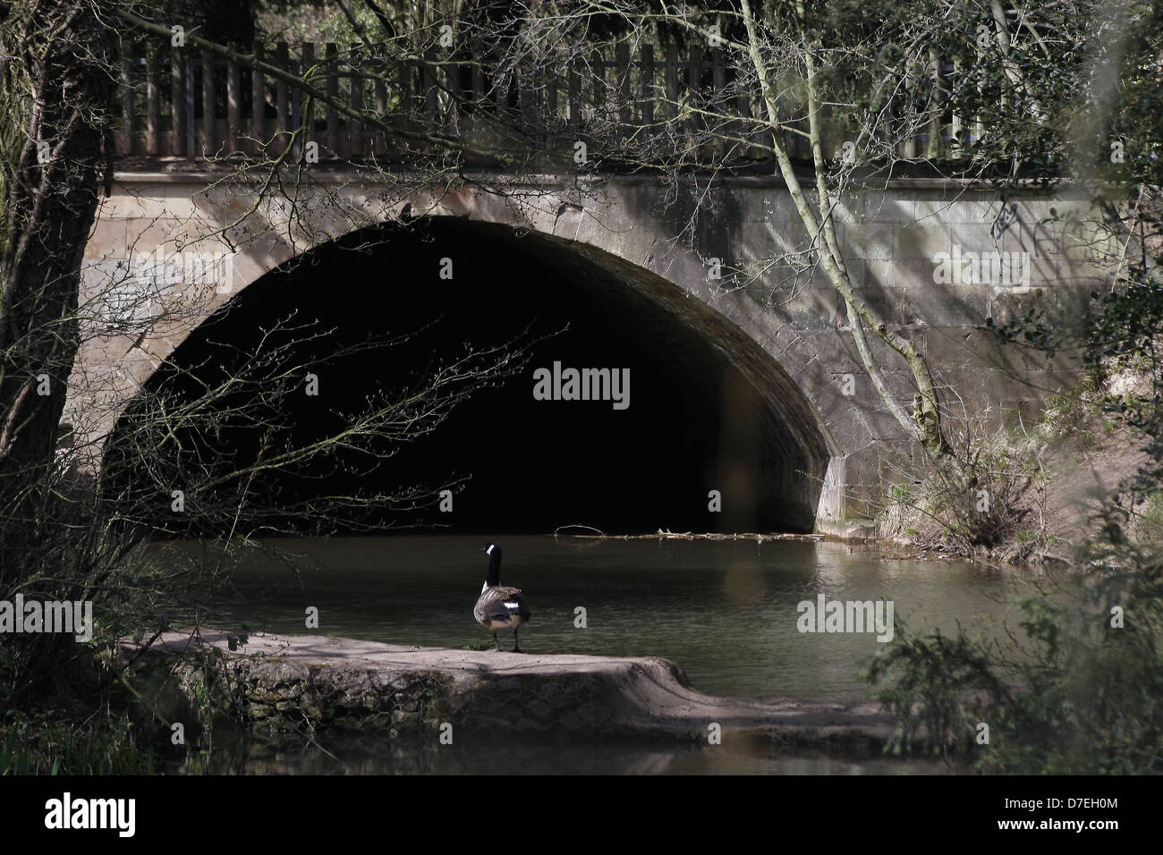 Langold country park hi-res stock photography and images - Alamy