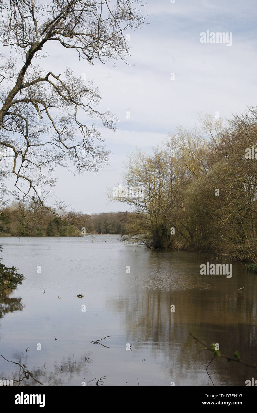 Langold hi-res stock photography and images - Alamy