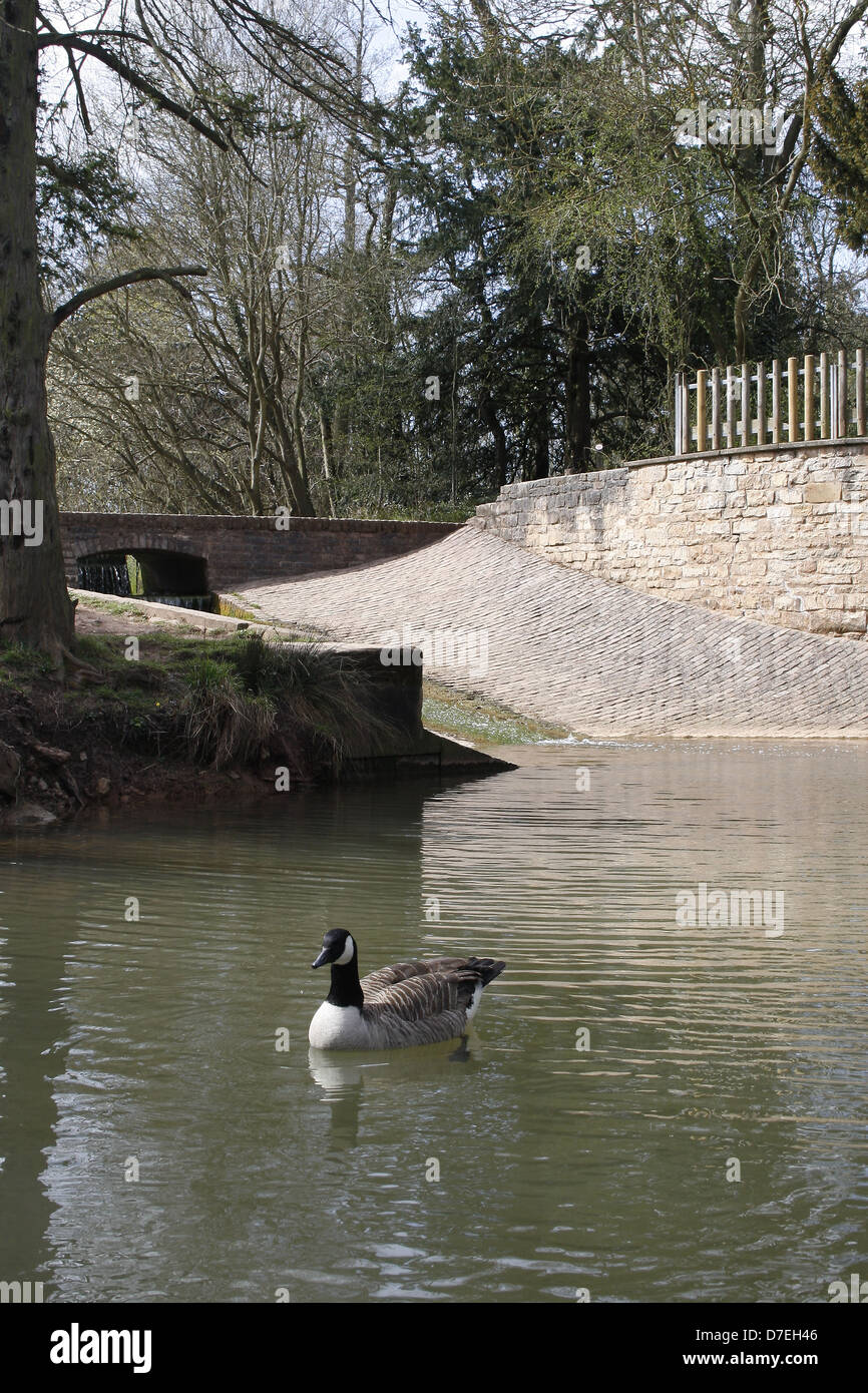 Langold country park hi-res stock photography and images - Alamy