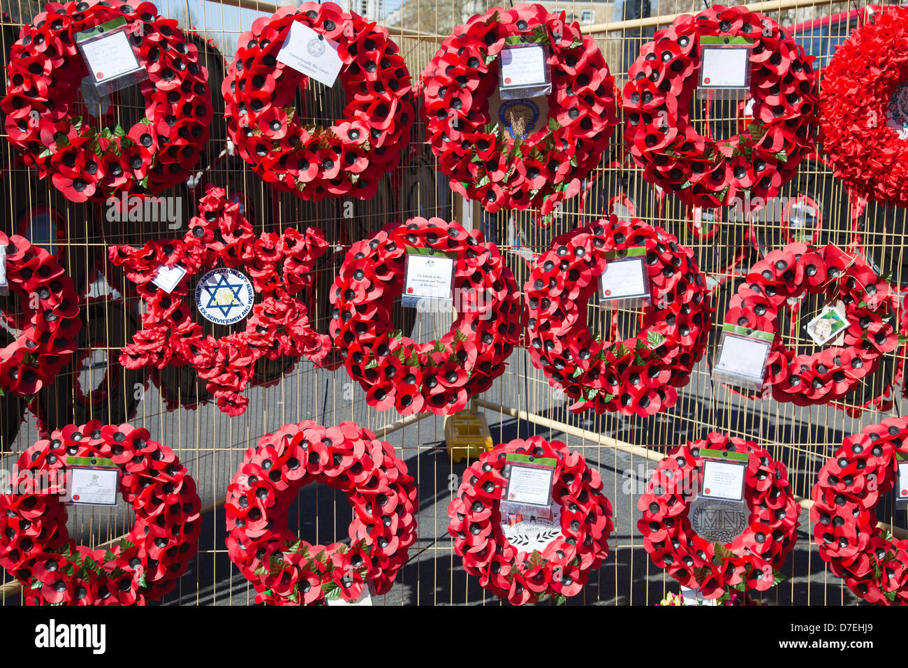 Remembrance poppy frame hi-res stock photography and images - Alamy