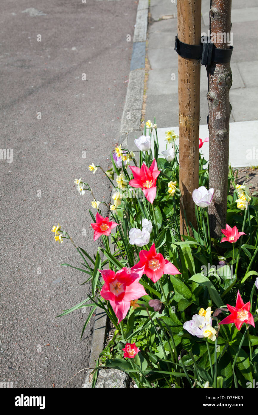 Community gardening roadside hi-res stock photography and images - Alamy