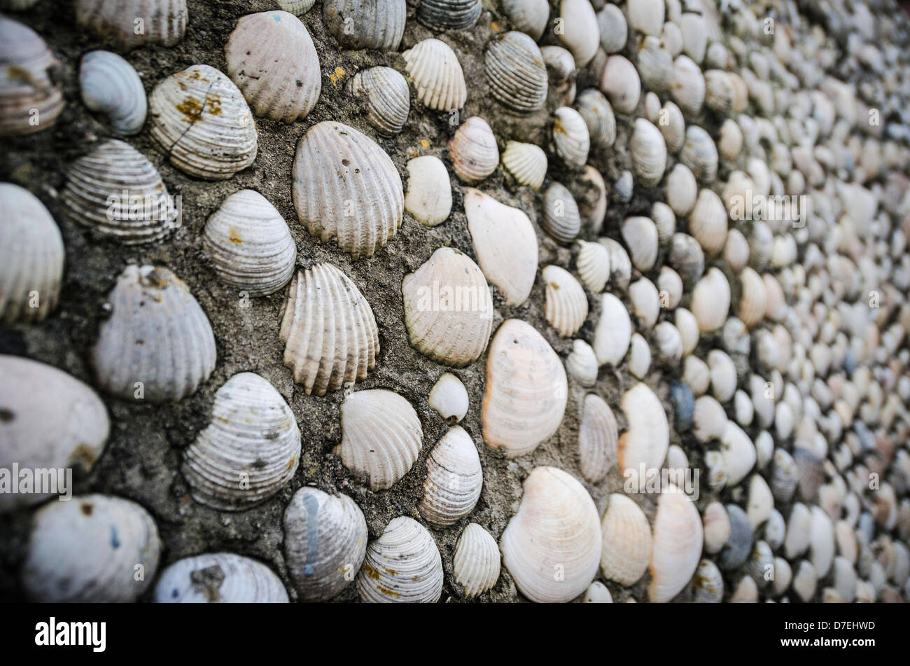 wall of shells Stock Photo - Alamy