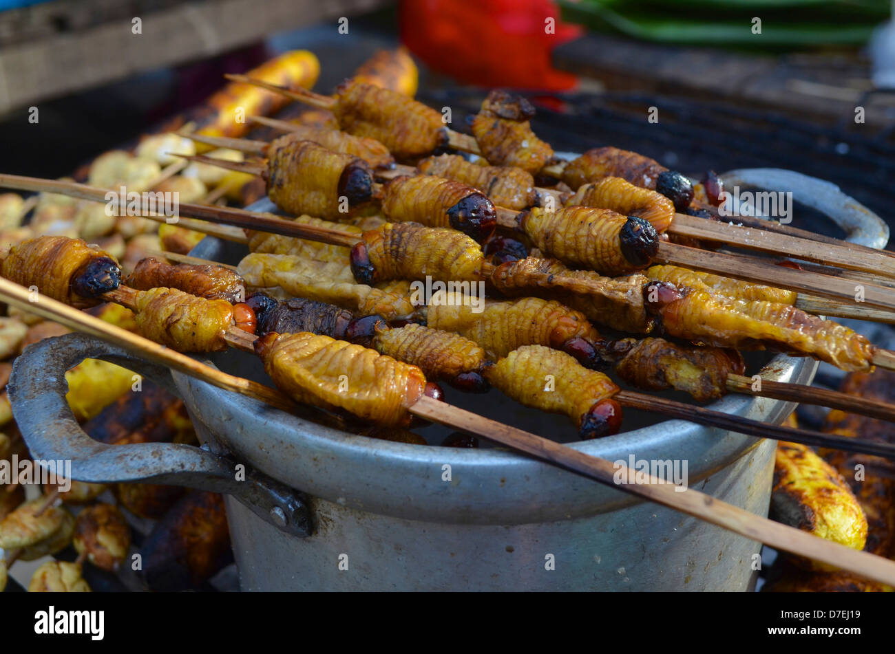 Suri - an Amazonian grub that feeds on palm sap, grilled and served as ...