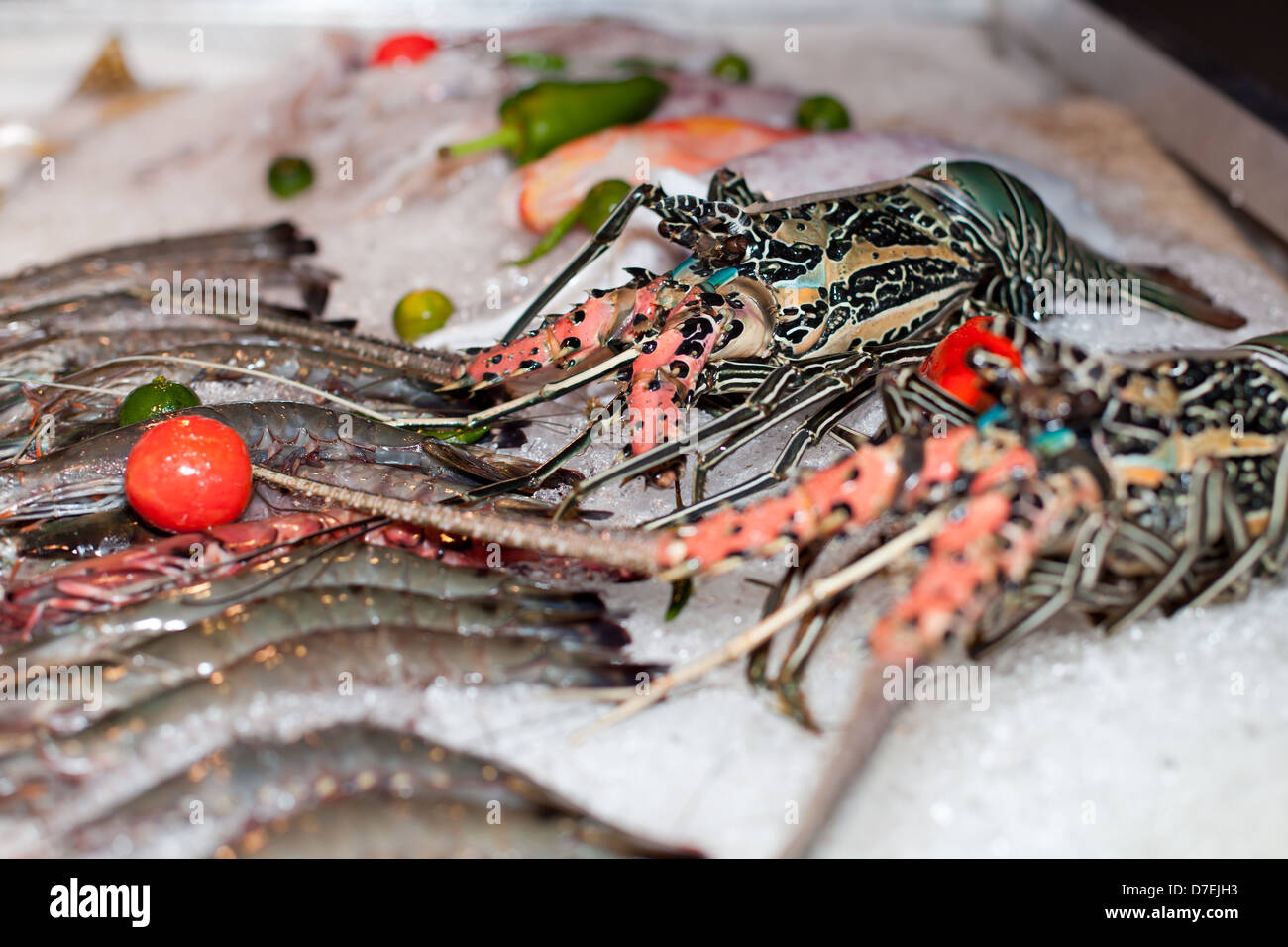 Lapu lapu fish hi-res stock photography and images - Alamy