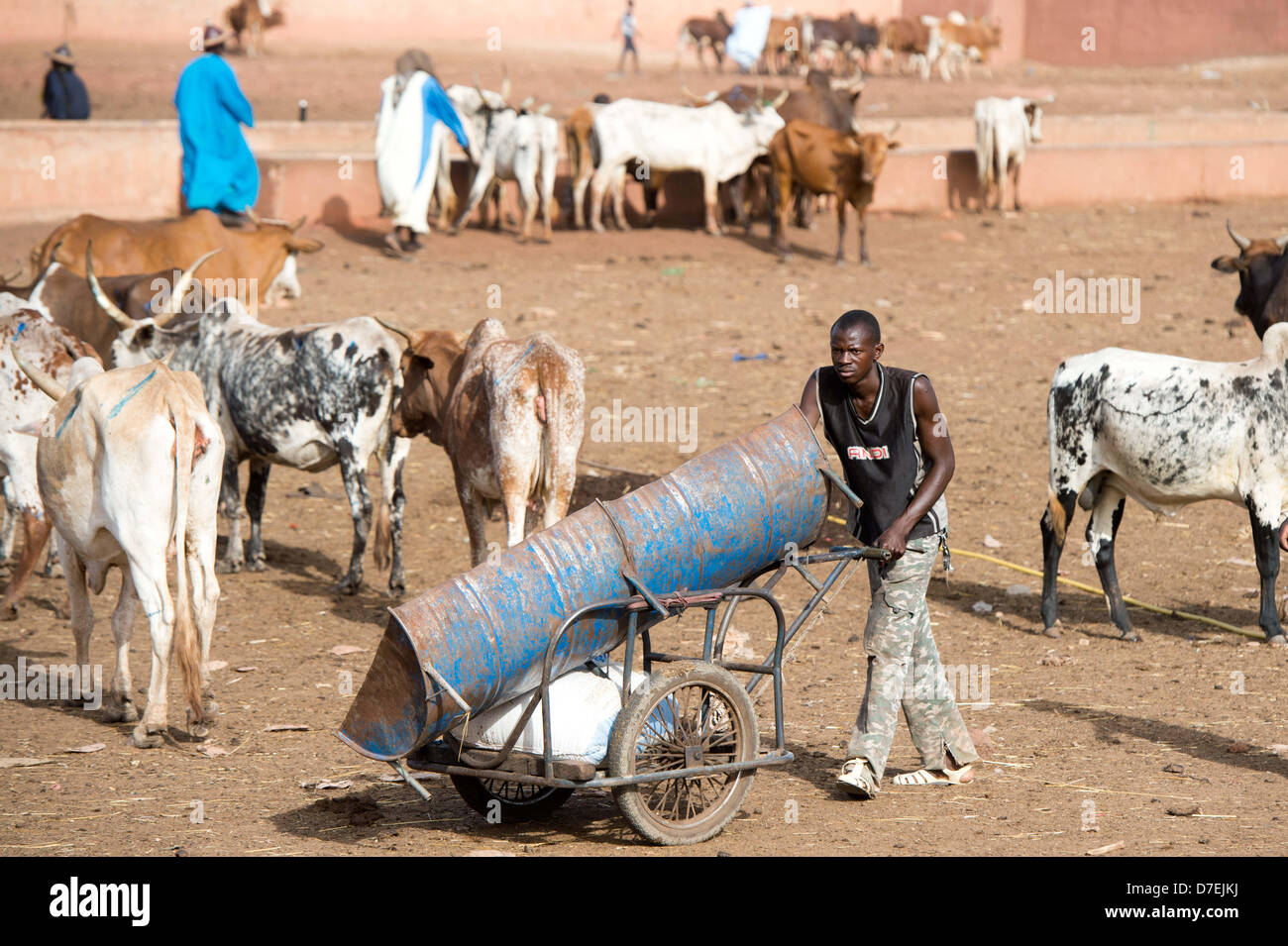 People walk on animal market in Bamako, capital of Mali, 05 May 2013 ...