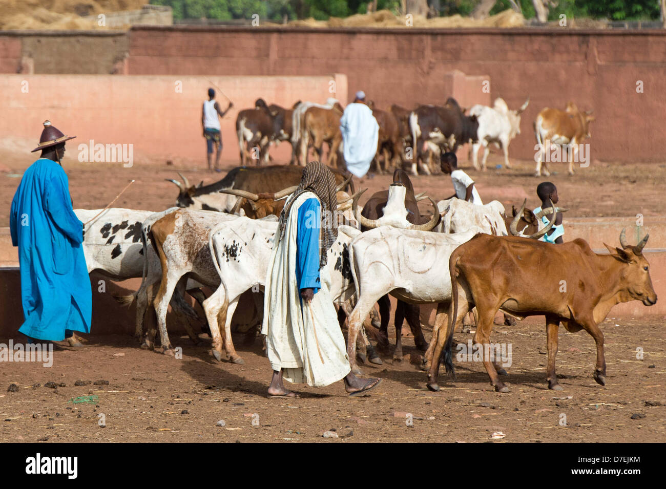 People walk on animal market in Bamako, capital of Mali, 05 May 2013 ...