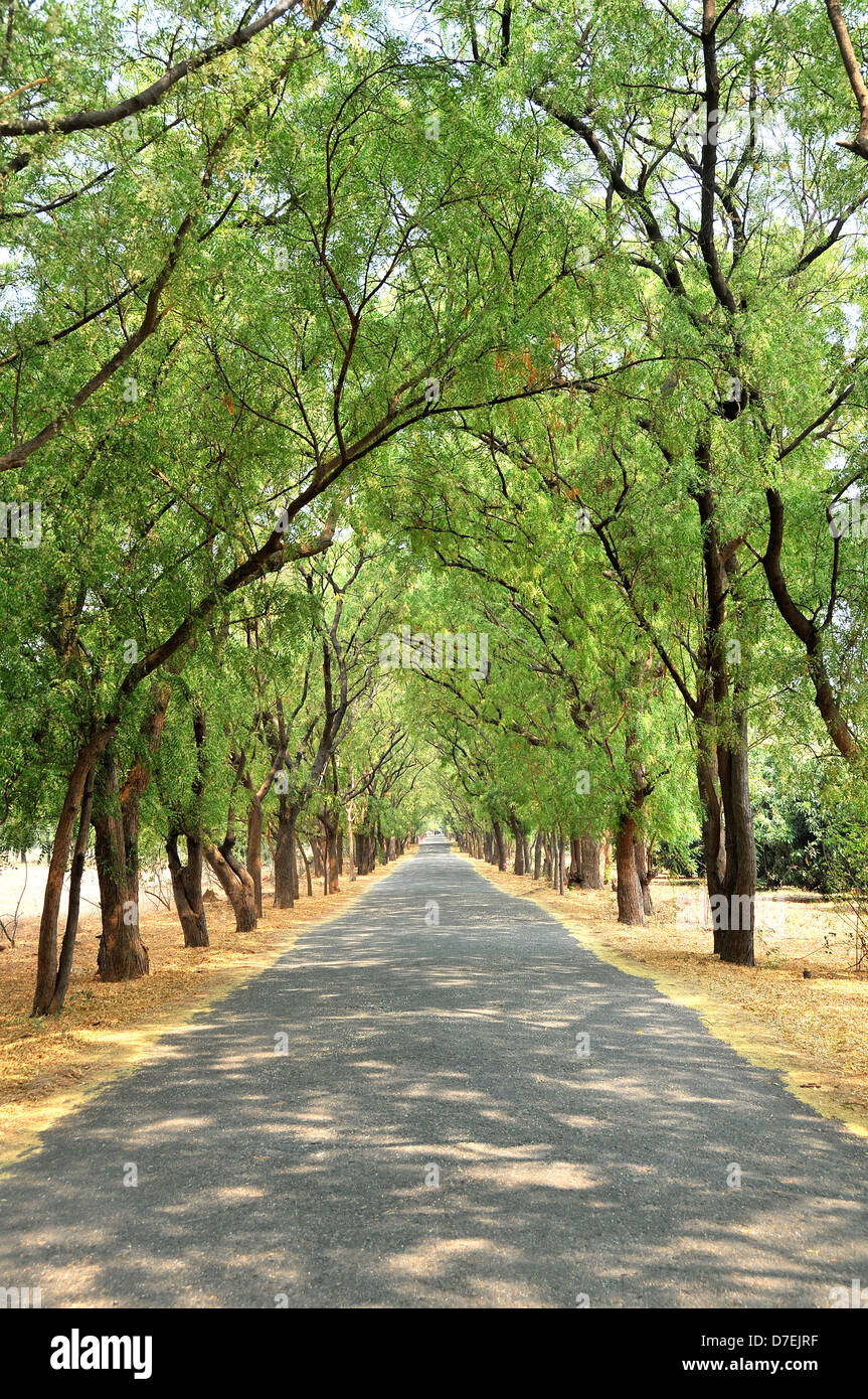 Myanmar infrastructure hi-res stock photography and images - Alamy