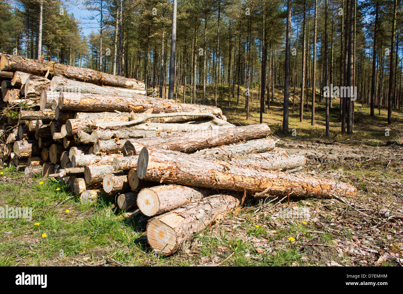 Welsh country parks hi-res stock photography and images - Alamy