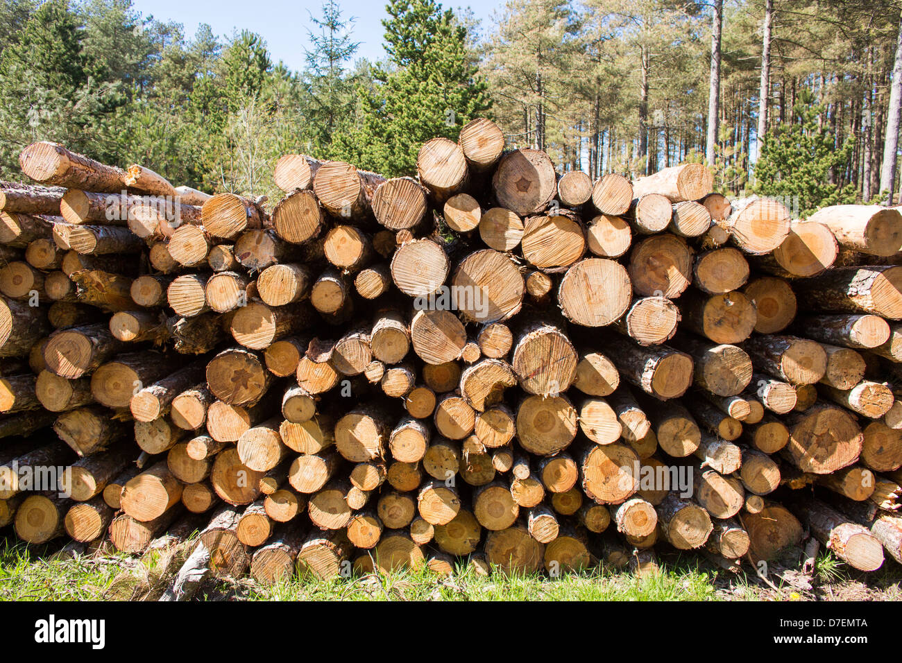 Pembrey country park llanelli hi-res stock photography and images - Alamy