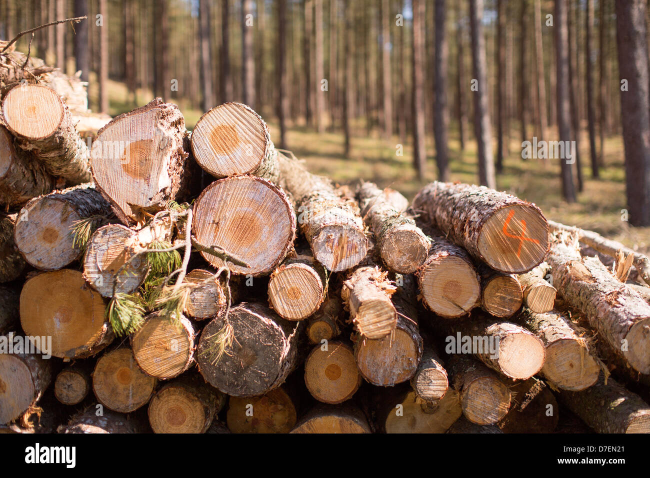 Pembrey country park llanelli hi-res stock photography and images - Alamy