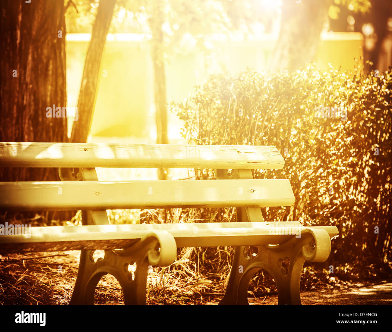 Beautiful wooden bench in the park, bright yellow sun light, place for ...
