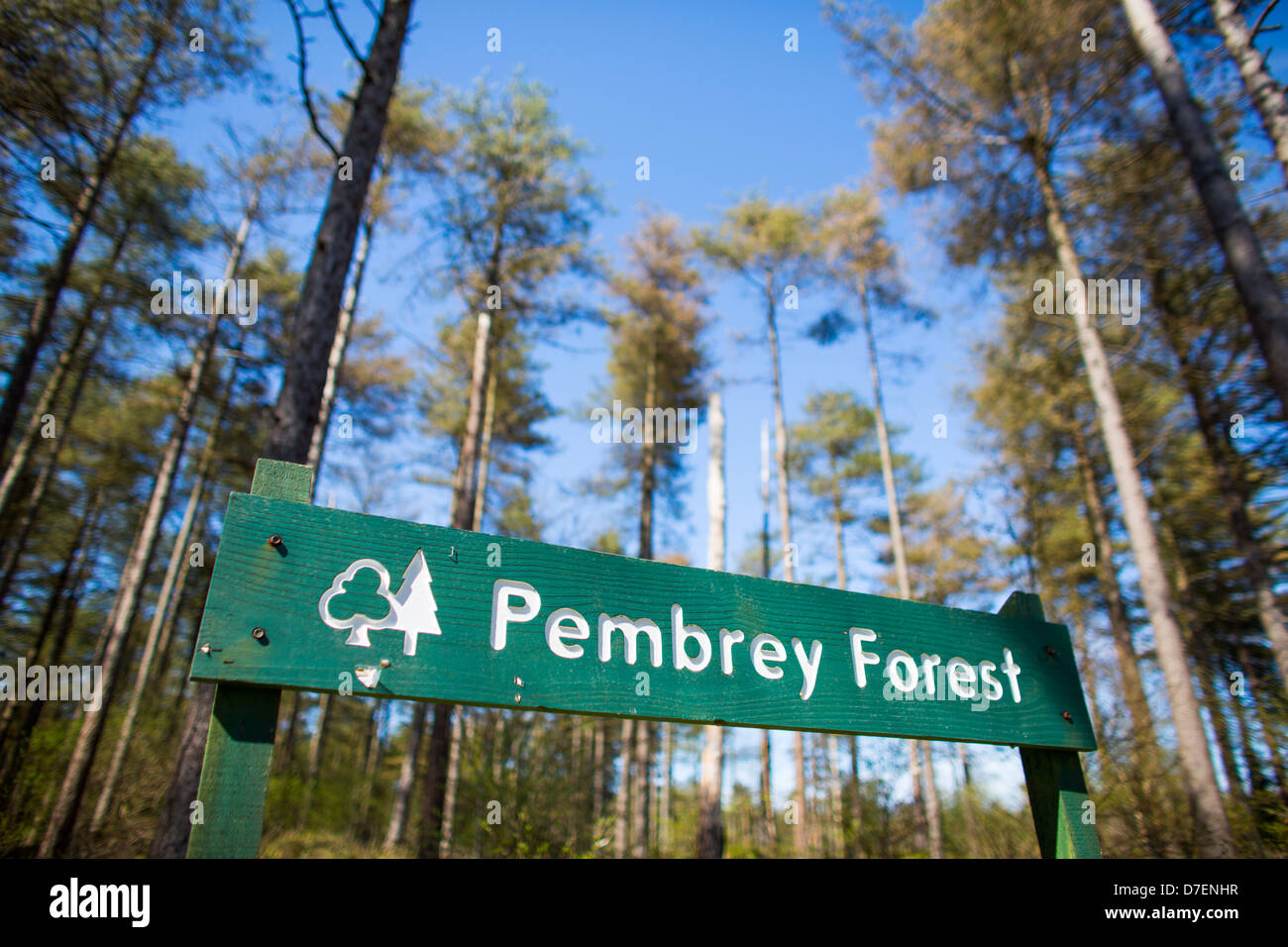 Green painted wooden sign for Pembrey Forest with trees in the ...