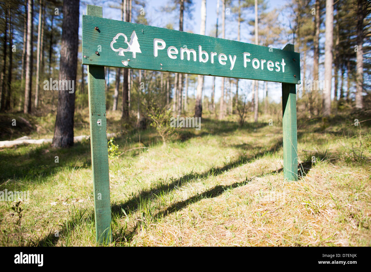 Pembrey forest wales hi-res stock photography and images - Alamy