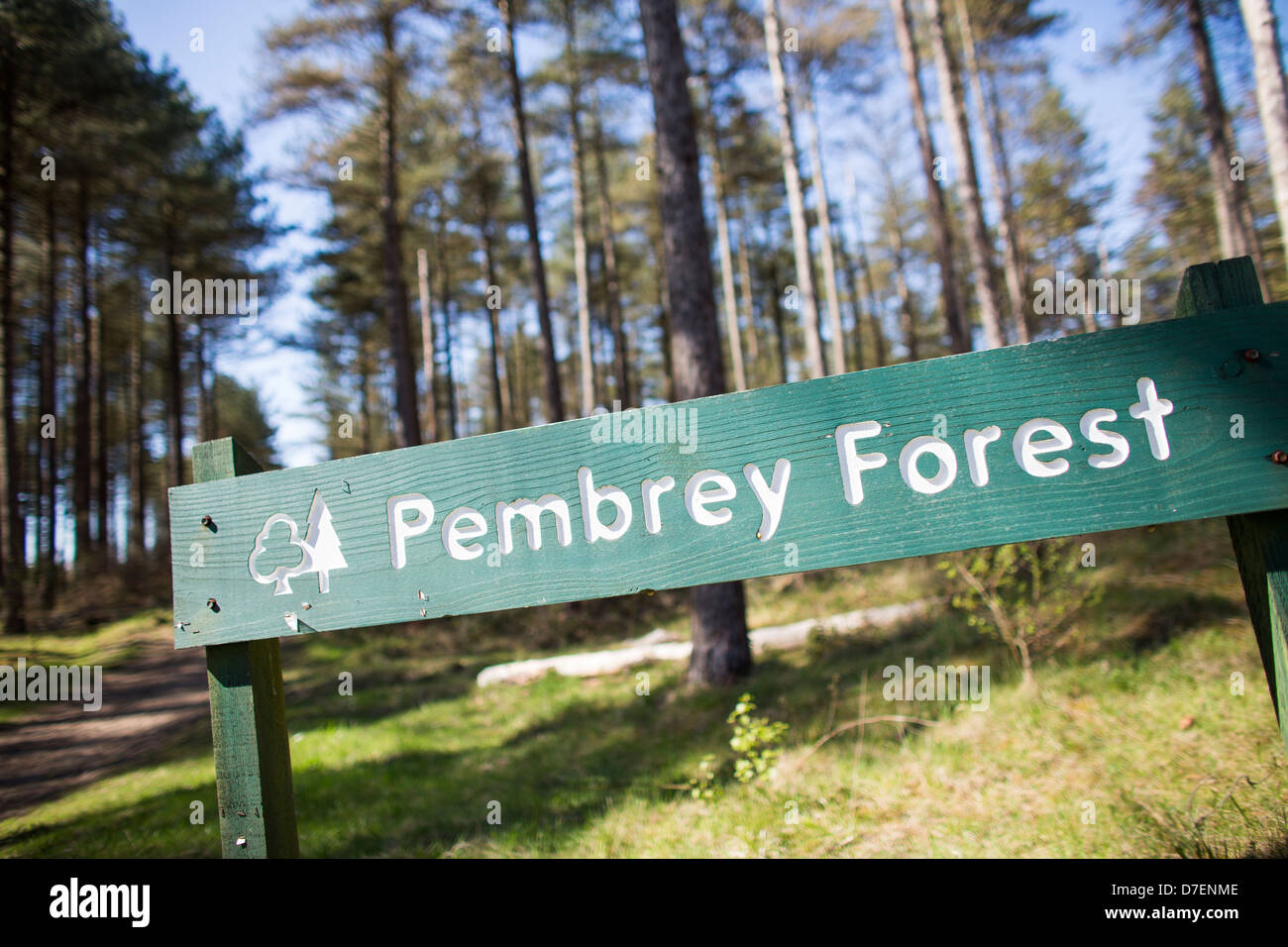 Green painted wooden sign for Pembrey Forest with trees in the ...