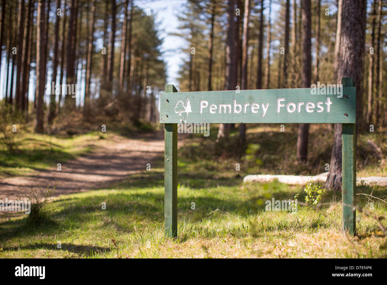 Pembrey country park wales hi-res stock photography and images - Alamy