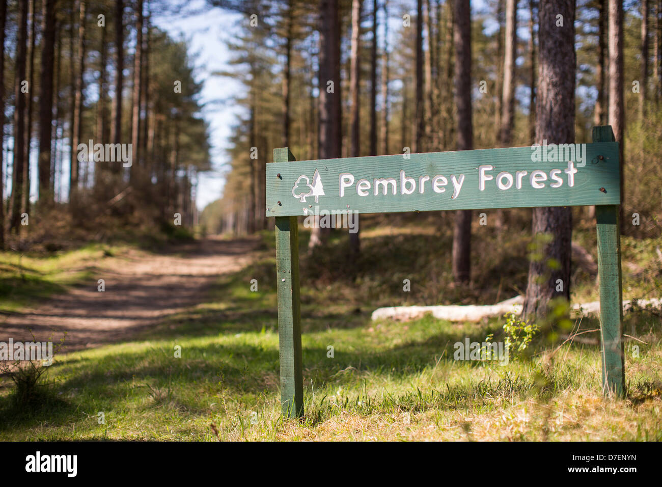 Green painted wooden sign for Pembrey Forest with trees in the ...
