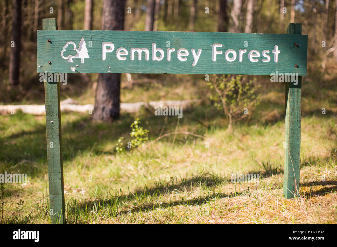 Pembrey woods hi-res stock photography and images - Alamy