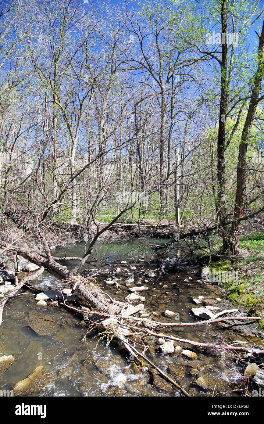 Stream wood hi-res stock photography and images - Alamy
