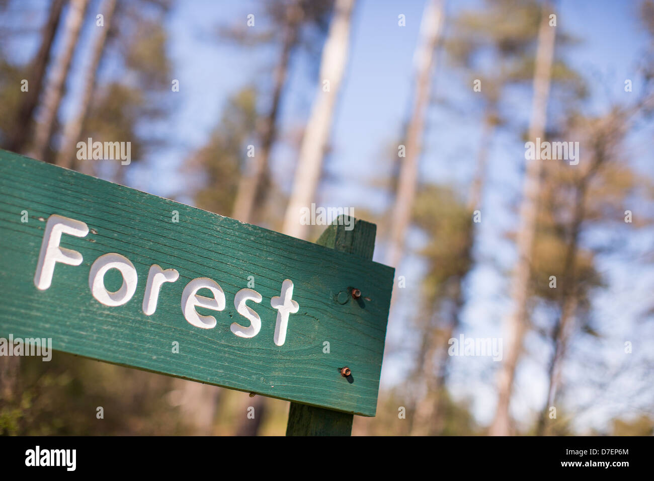 Green painted wooden sign for Pembrey Forest with trees in the ...