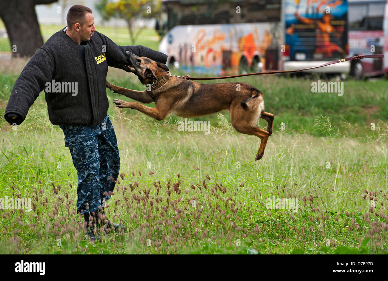 Police Dogs Attacking