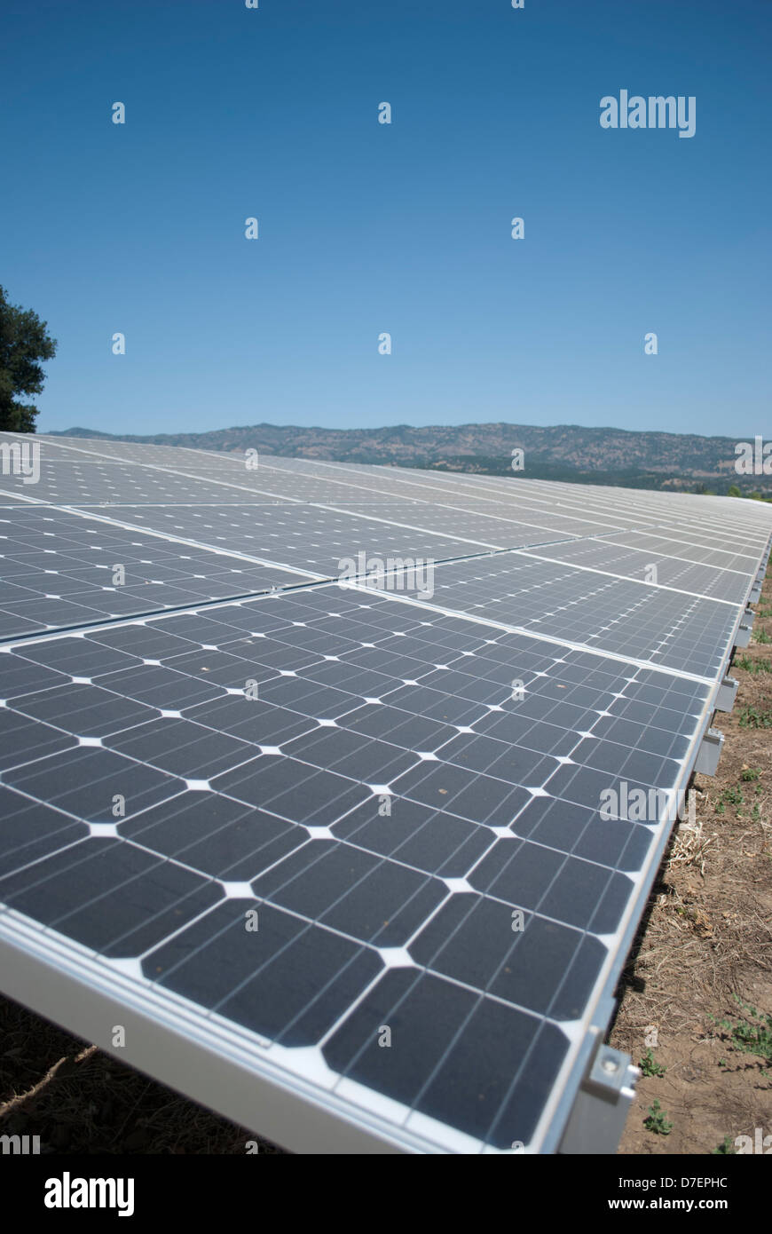 One of the solar panel arrays at a Napa Valley, California, winery ...