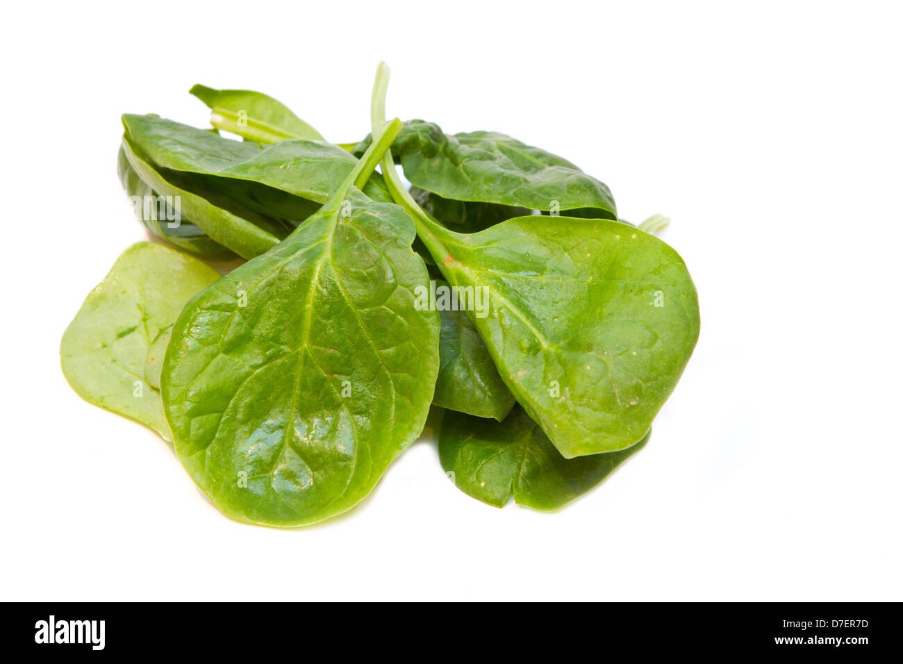 Baby spinach leaves closeup hi-res stock photography and images - Alamy