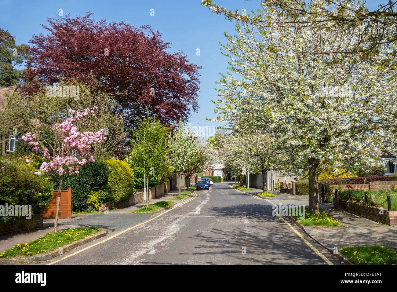 Fruit trees hi-res stock photography and images - Alamy