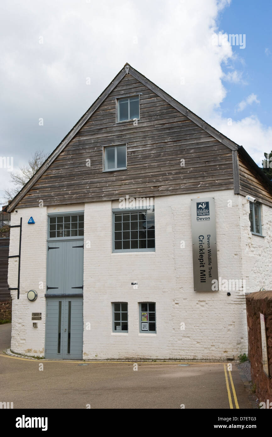 Devon wildlife trust exeter hi-res stock photography and images - Alamy