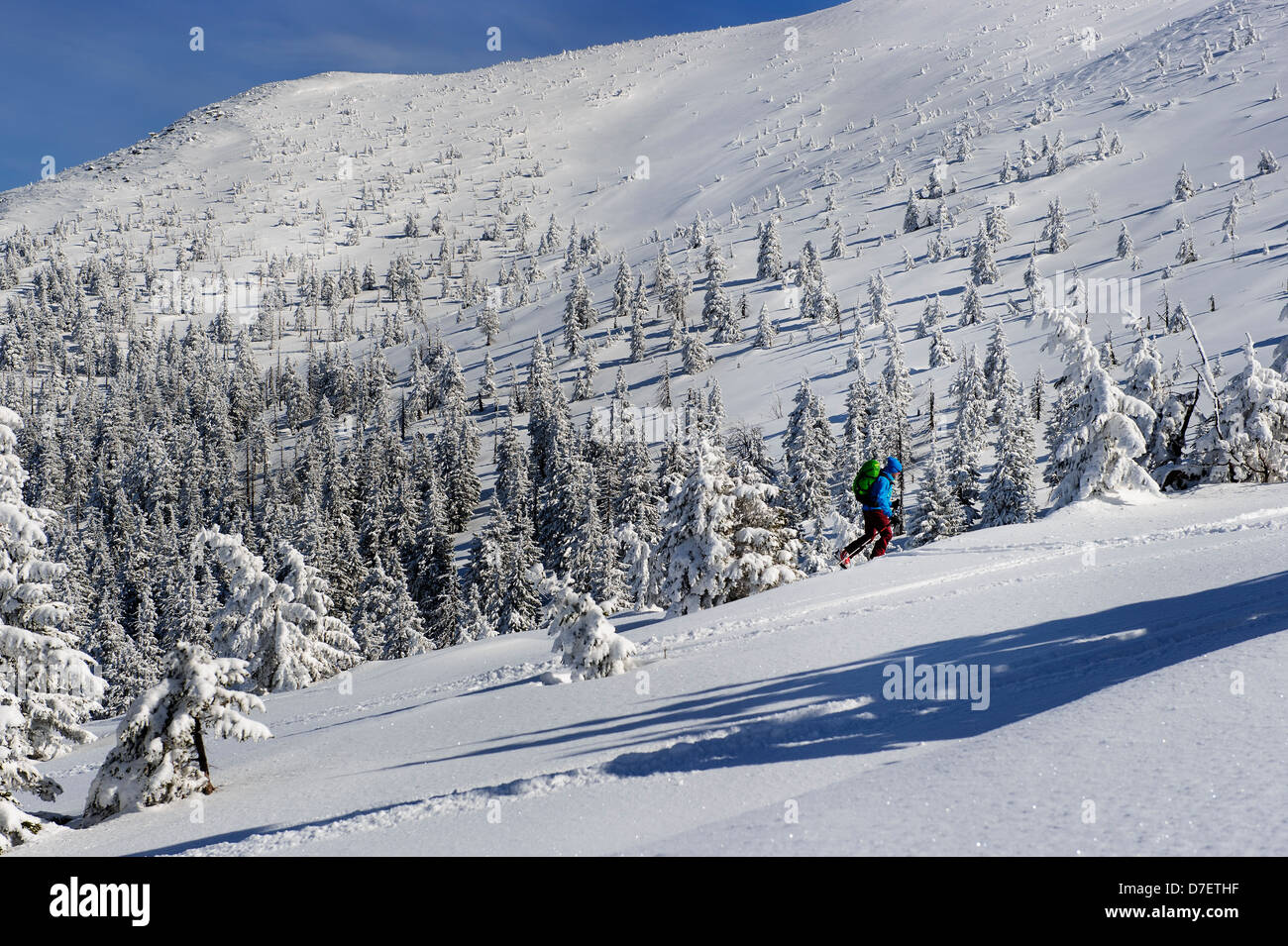 A hiker going uphill in a winter landscape, Szklarska Poreba, Poland ...