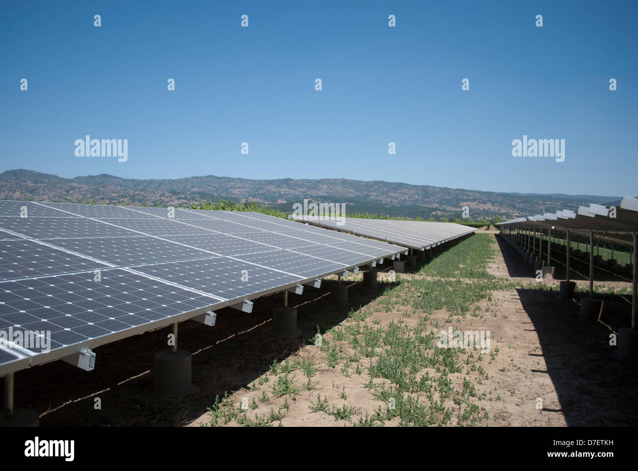 A solar array at a Napa Valley winery in California Stock Photo - Alamy