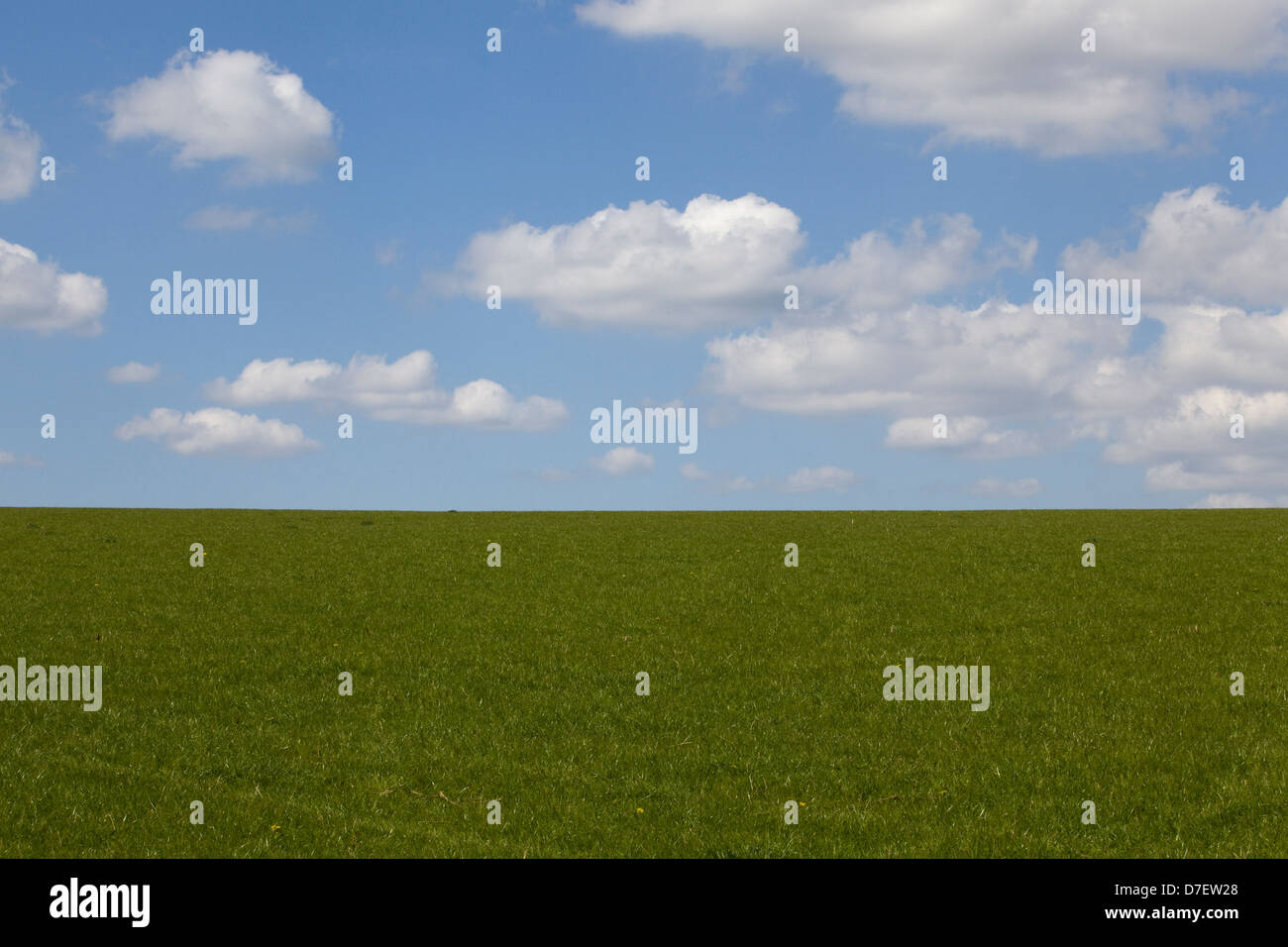 Bright Blue Sky with Bright Green Grass English Countryside Stock Photo ...