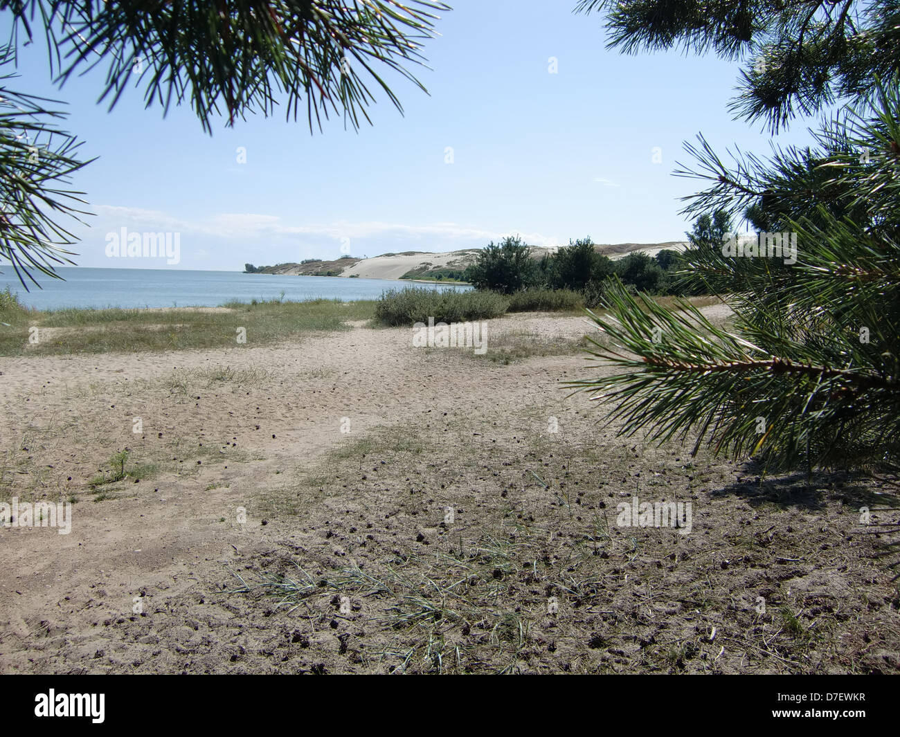 Neringa municipality hi-res stock photography and images - Alamy