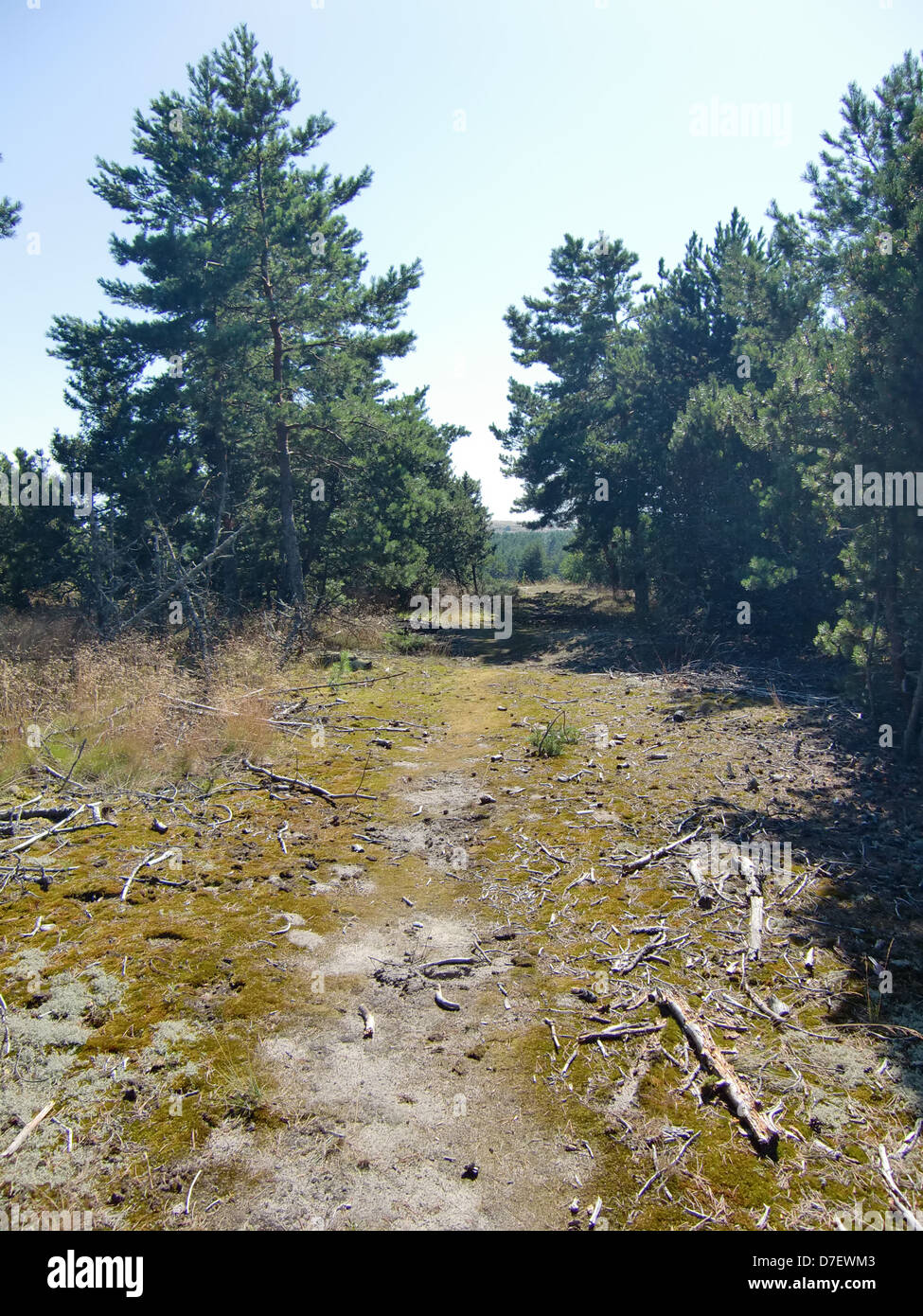 Nida (Neringa Municipality, Republic of Lithuania Stock Photo - Alamy