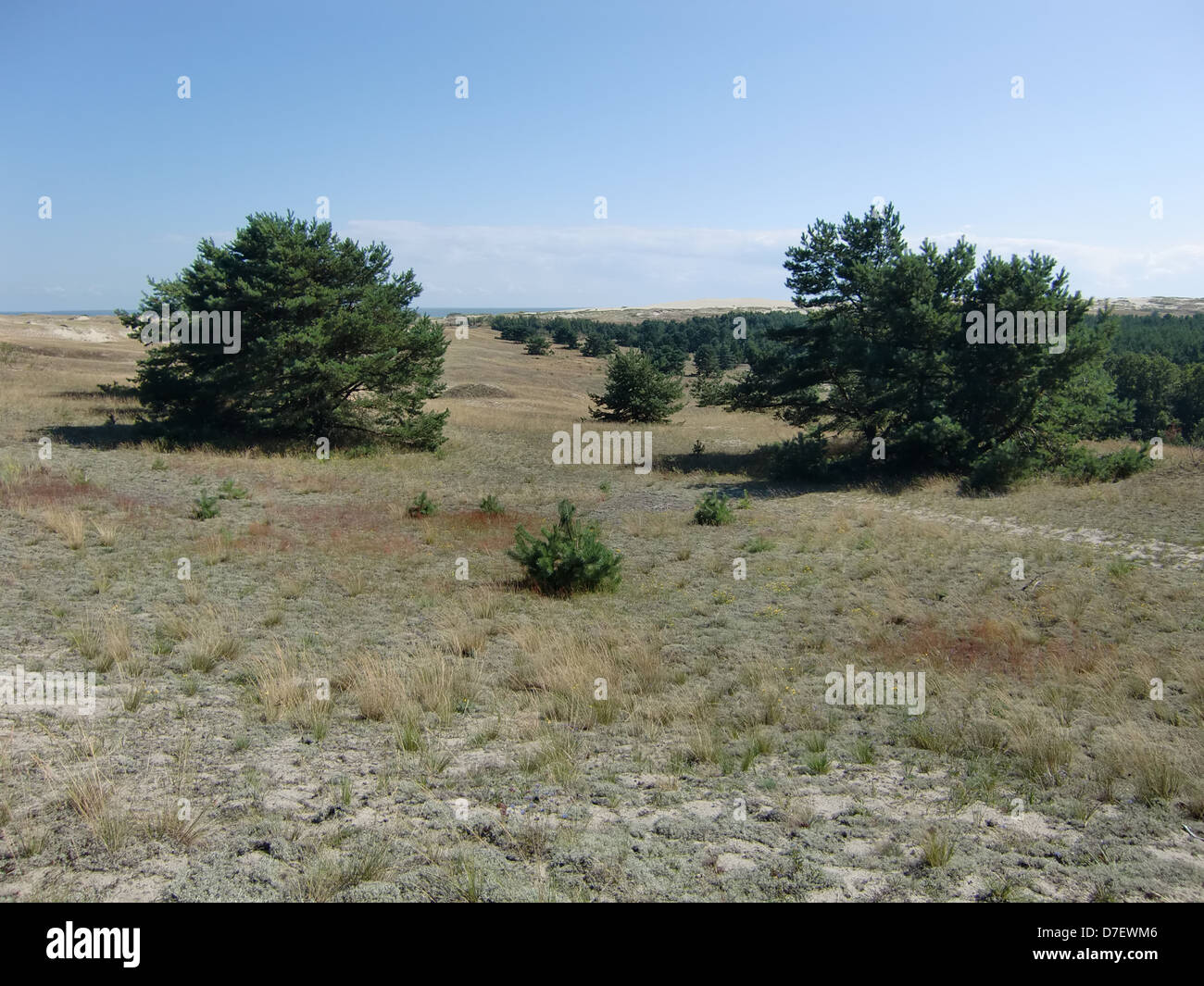 Nida (Neringa Municipality, Republic of Lithuania Stock Photo - Alamy