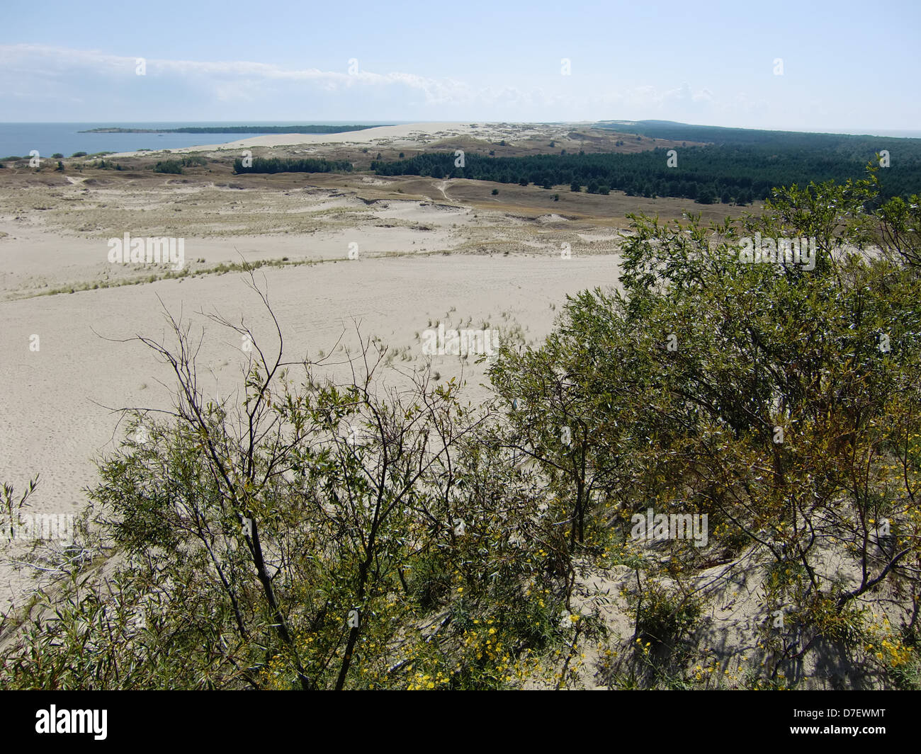 Parnidzio hi-res stock photography and images - Alamy
