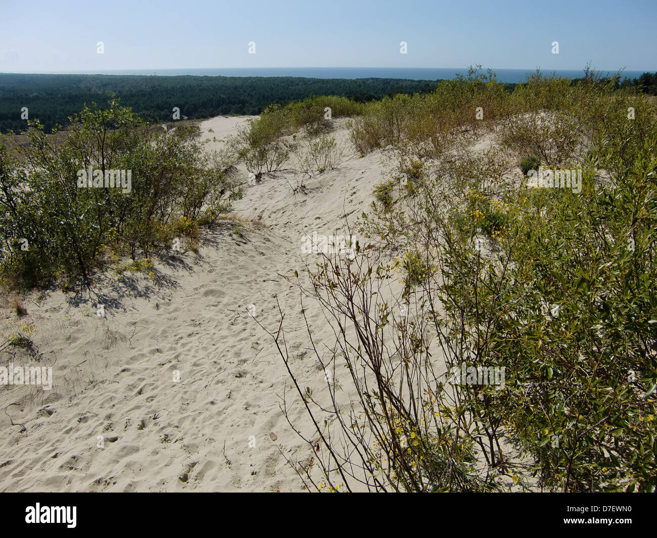 View from the Parnidzio dune (Nida, Neringa Municipality, Republic of ...